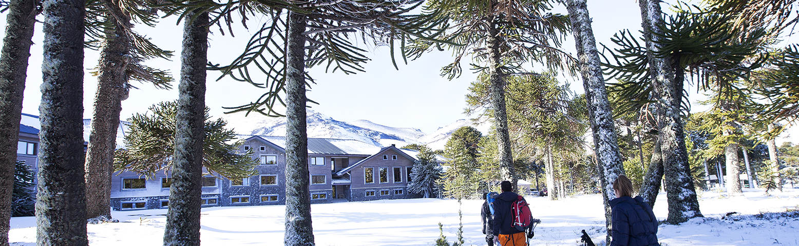 Corralco - El mejor resort de montaña de Chile